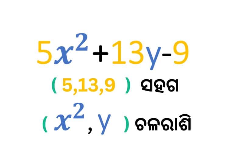 Multiplication Of Algebraic Expressions In Odia | ବୀଜଗଣିତର ଗୁଣନ କିପରି ...